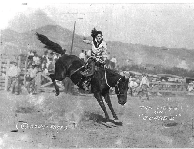 Women’s Bronc Riding | Northern Light Media