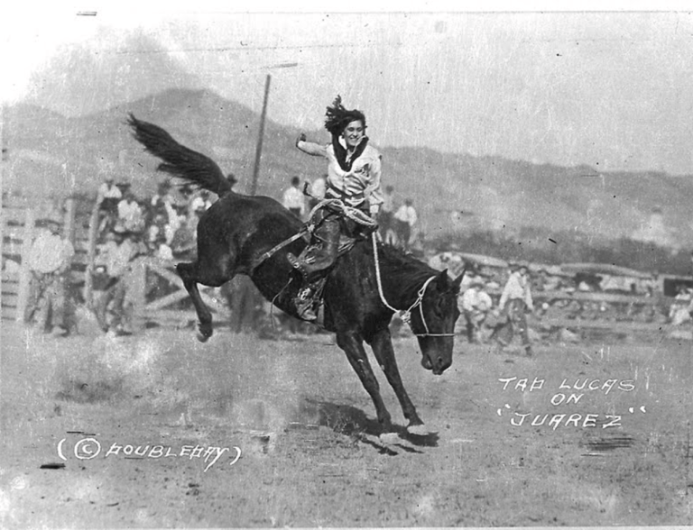 The History of Women’s Professional Bronc Riding | Northern Light Media