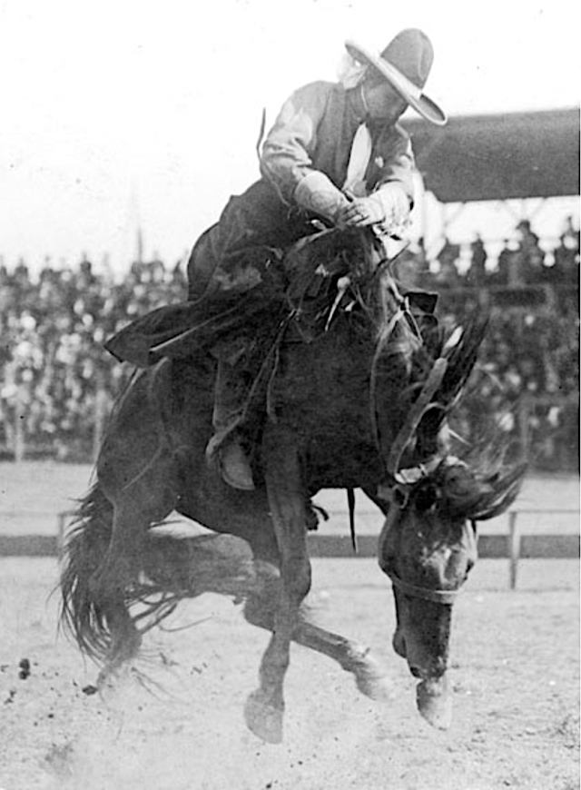 Women’s Bronc Riding | Northern Light Media